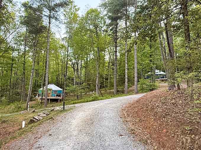The wooded setting provides that perfect balance of seclusion and accessibility for your mountain escape adventure.
