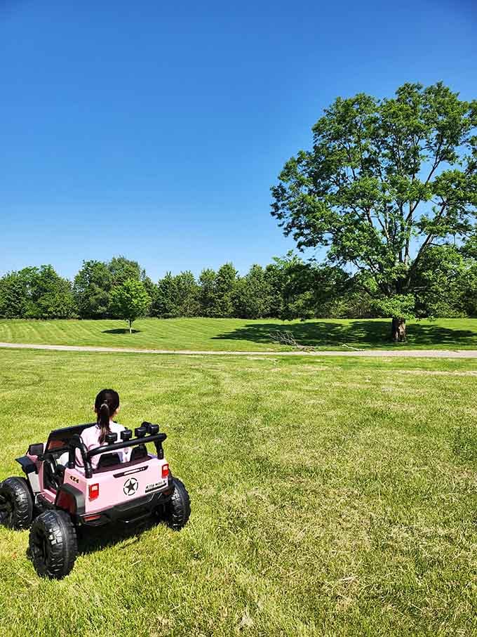 Little adventurers exploring the park's open spaces, making memories that'll last longer than the toy car's batteries.