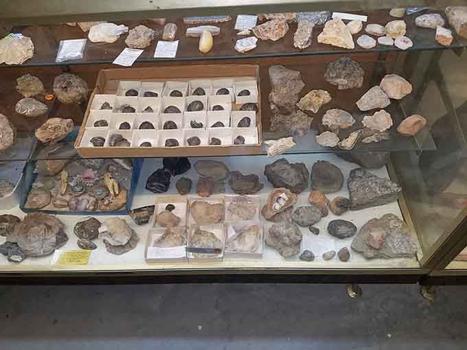 Rocks, minerals, and fossils on display prove that not everything valuable underground was gold, just most profitable.