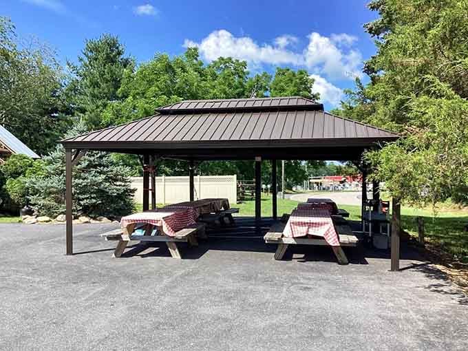 Outdoor seating with red-checkered tablecloths lets you enjoy your German feast with a side of fresh Virginia air.