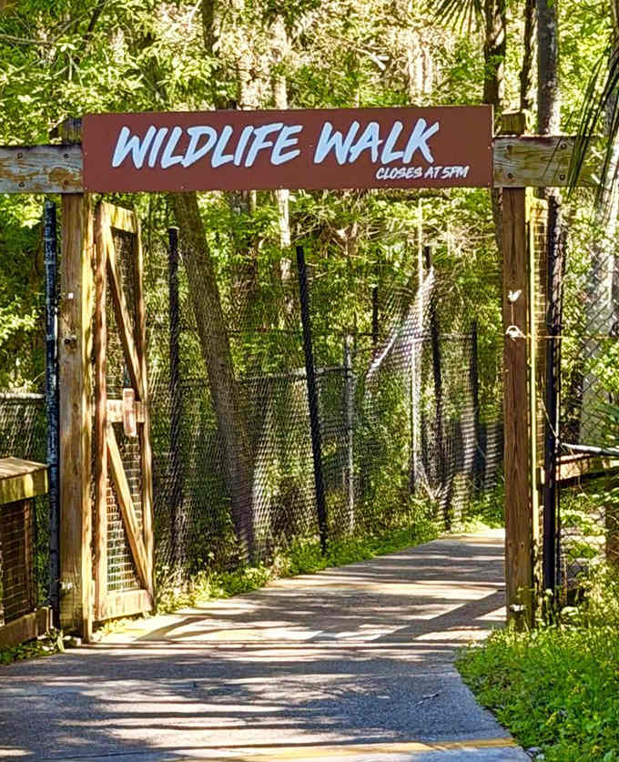 When the wildlife walk closes at 5 PM, the animals probably throw a party we're not invited to.