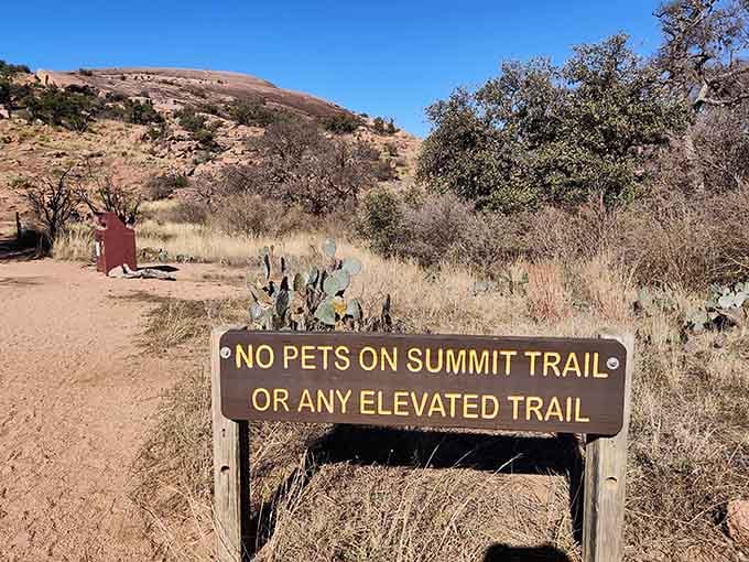 Sorry Fido, but this summit is humans-only, though your disappointed face suggests you'd argue otherwise.