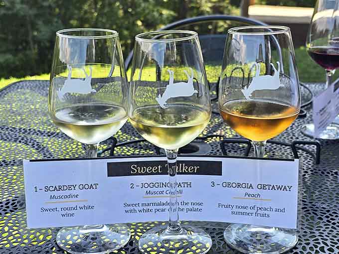 Three wines lined up for your tasting pleasure, each one telling its own story of Georgia terroir and sunshine.