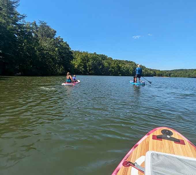 Paddleboarding here beats fighting crowds at the beach while pretending you have good balance.
