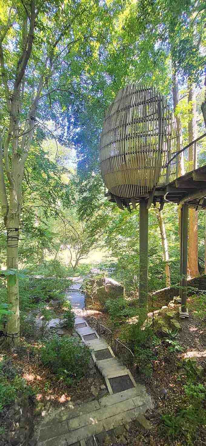 This elevated pod lets you see the forest from a bird's perspective without the flying part.