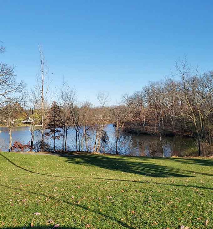 Bare trees frame tranquil waters where ducks glide peacefully, offering serene views that change beautifully with seasons.