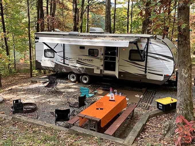 An RV setup so cozy it makes you reconsider everything you thought you knew about roughing it outdoors.