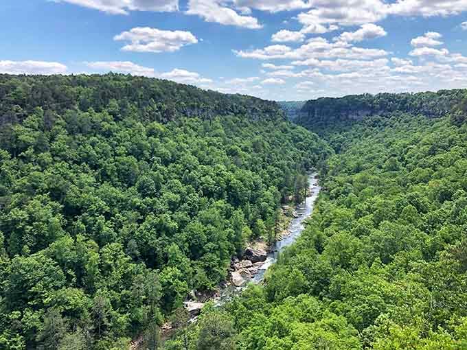 Wolf Creek Overlook reveals canyon views that'll make you forget about expensive vacation destinations you've been considering.