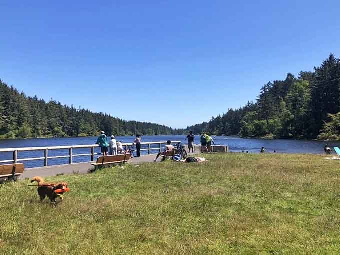 Coffenbury Lake offers a peaceful respite, proving Fort Stevens can do serene natural beauty when it's not busy being historically haunting.