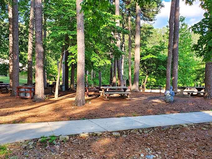 Picnic tables under towering pines: where family gatherings happen without anyone checking their phone, maybe.