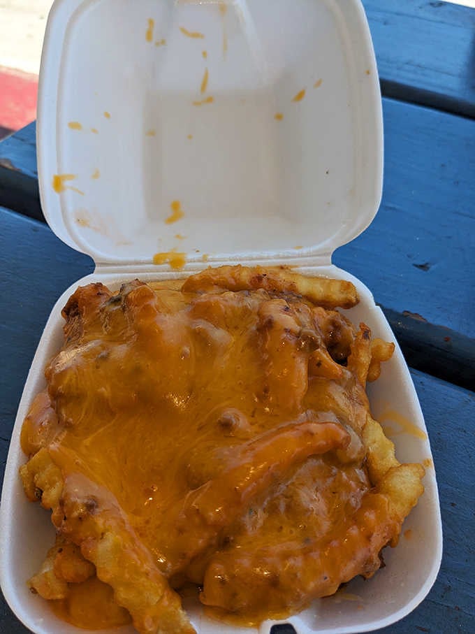 Cheese-smothered fries in a to-go container represent the kind of indulgence that makes life worth living fully.