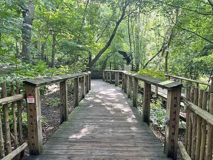 A wooden boardwalk winds through green canopy, offering the forest walk experience without the mosquitoes and mud.