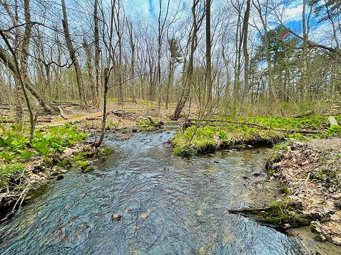 Natural streams running through the property remind you that Massachusetts had all this beauty before we paved over most of it.