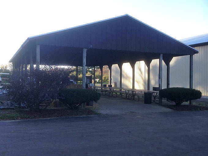 The picnic pavilion where you can rest, recharge, and plan your next fruit-picking strategy session.