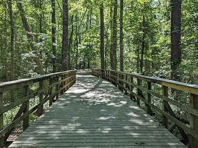 Waccamaw Wildlife Refuge's boardwalk winds through nature, where civilization politely takes a backseat to beauty.