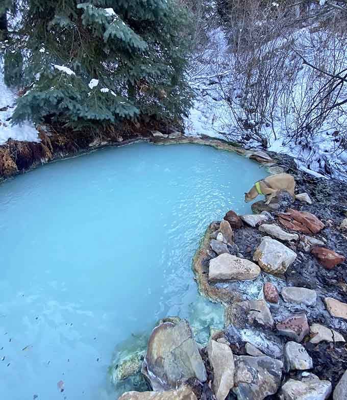 Winter transforms the scene into something magical, where warm spring meets cold snow in beautiful contrast daily.
