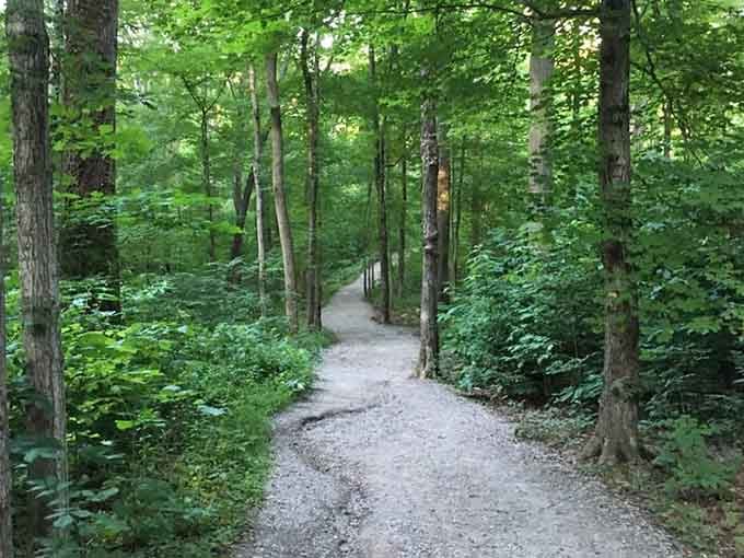 The nature trail curves ahead like it's deliberately teasing you with what geological wonders wait around that bend.