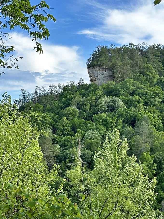 The surrounding cliffs and forests create a dramatic backdrop that makes you feel properly adventurous before going underground.