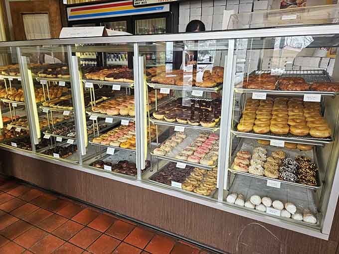 Glass cases displaying rows of fresh donuts like edible artwork in the world's most delicious museum exhibit ever.