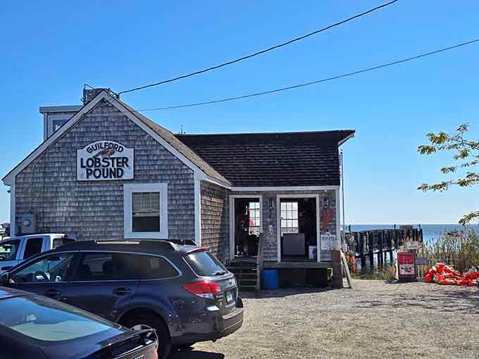 Weathered shingles and no-frills charm signal serious seafood ahead, where lobsters meet their delicious destiny with dignity.