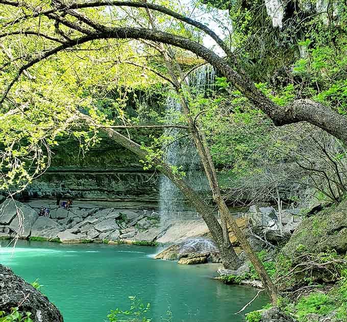 Lush vegetation clings to every limestone surface, creating a living tapestry that changes with each season's rainfall.