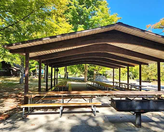 Covered picnic shelters protect your family reunion from rain, sun, and that one uncle's questionable potato salad choices.