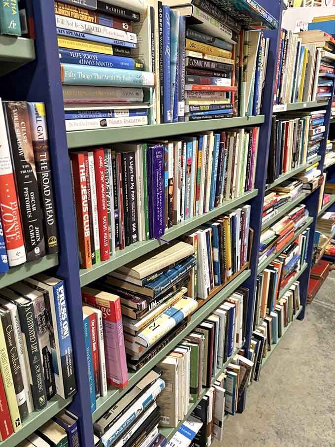 Shelves packed with stories waiting to be read, from bestsellers to hidden gems you never knew you needed.