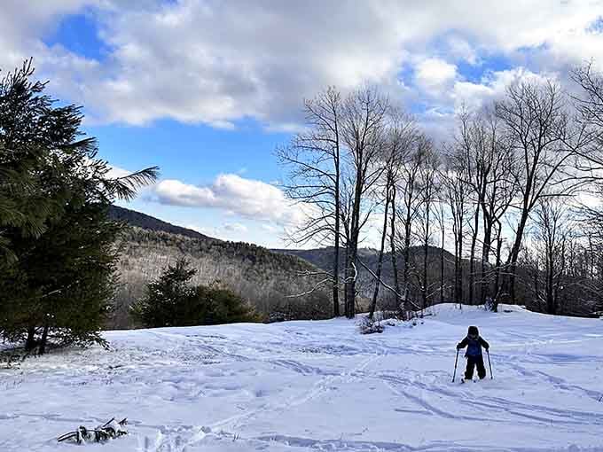 Winter transforms Hawley into a cross-country skier's paradise, where silence is broken only by swooshing skis.