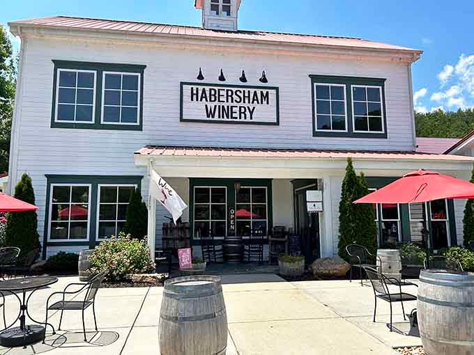 Habersham Winery's tasting room welcomes visitors to sample wines crafted from grapes that actually enjoy Georgia's climate.