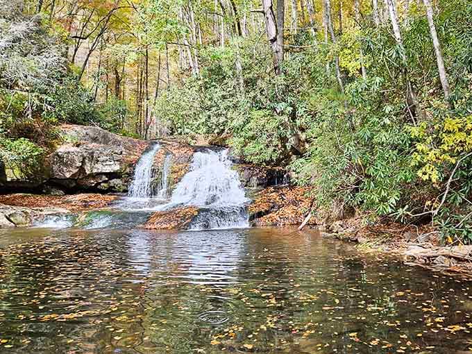 Autumn transforms the falls into a postcard that somehow looks even better in real life today.