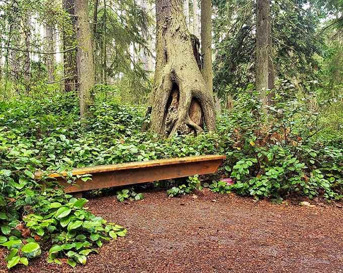 Simple wooden benches offer perfect spots for quiet contemplation surrounded by ancient trees and endless green.