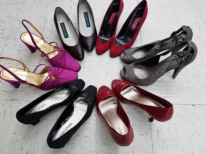 Designer heels arranged like a fashion wheel, proving style doesn't require emptying your entire bank account.