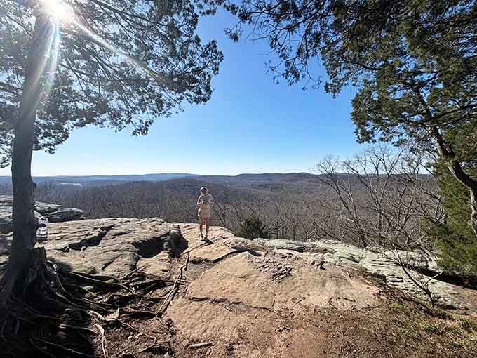 A solitary explorer stands beneath pine branches, contemplating horizons that seem to extend into forever and beyond.
