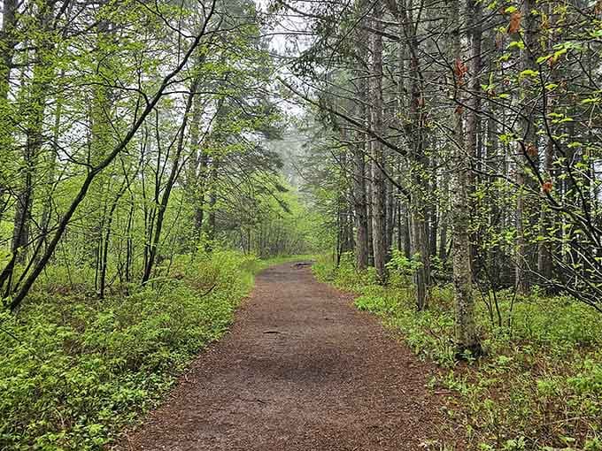 The well-maintained trail welcomes visitors of most abilities to experience this unique Lake Superior treasure.