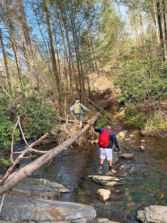 Navigating fallen logs and rocky crossings together, because misery loves company and so does adventure.