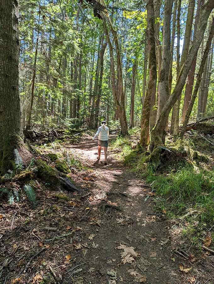 Forest trails wind through green tunnels where the only soundtrack is birdsong and rustling leaves.