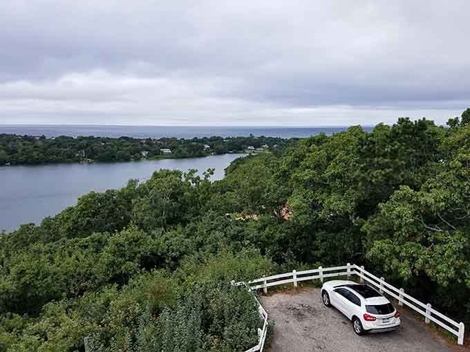 Elevated viewpoints reveal layers of landscape from forest to marsh to sparkling bay beyond.