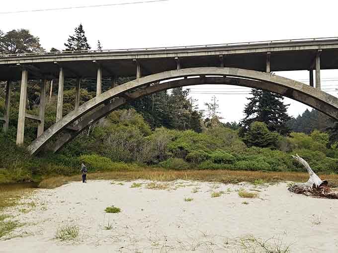 This bridge spans Jug Handle Creek, connecting you to ecosystems that predate your great-great-great-grandparents.