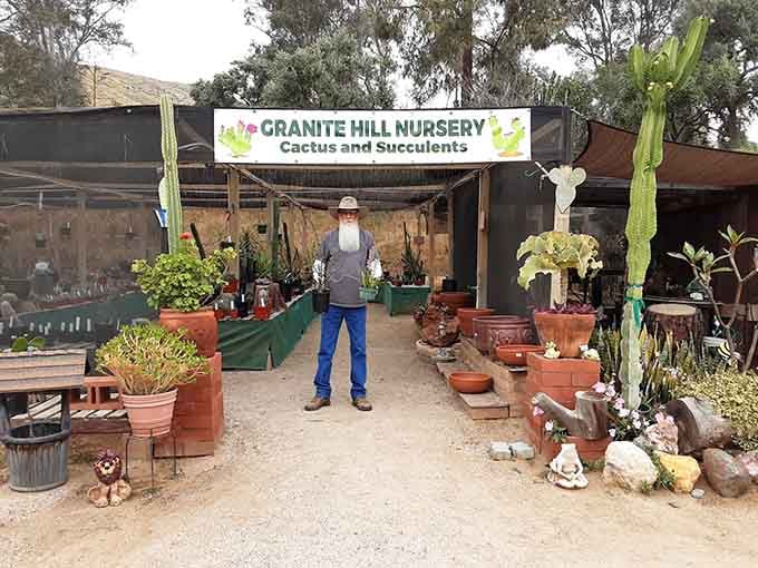 The Granite Hill Nursery offers cacti and succulents for visitors who want their own prehistoric garden vibes.