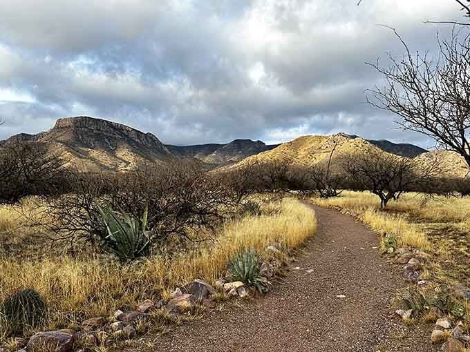 Desert trails winding through landscapes that look like they belong in a classic Western film.