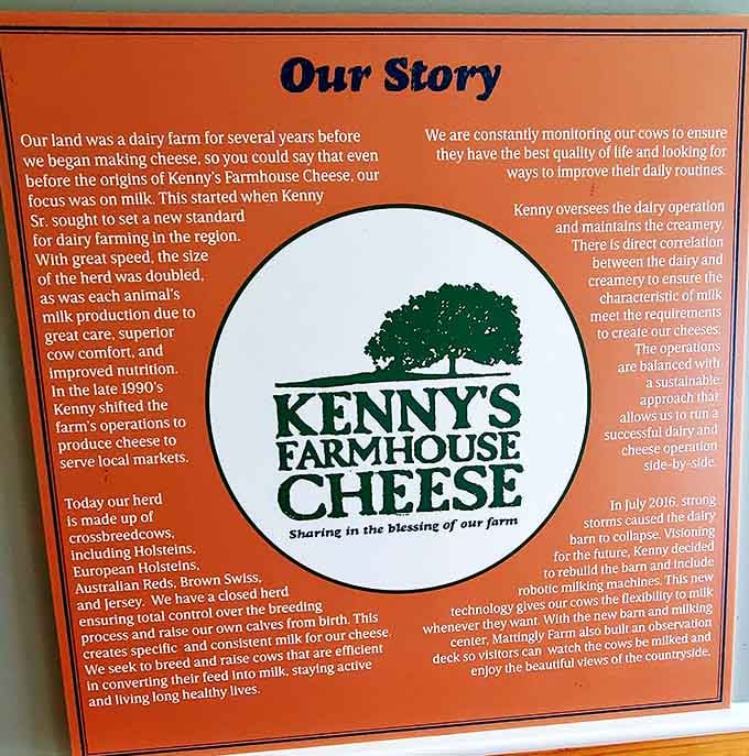 The farm's story laid out for visitors who want to understand the journey from pasture to that perfect cheese plate.