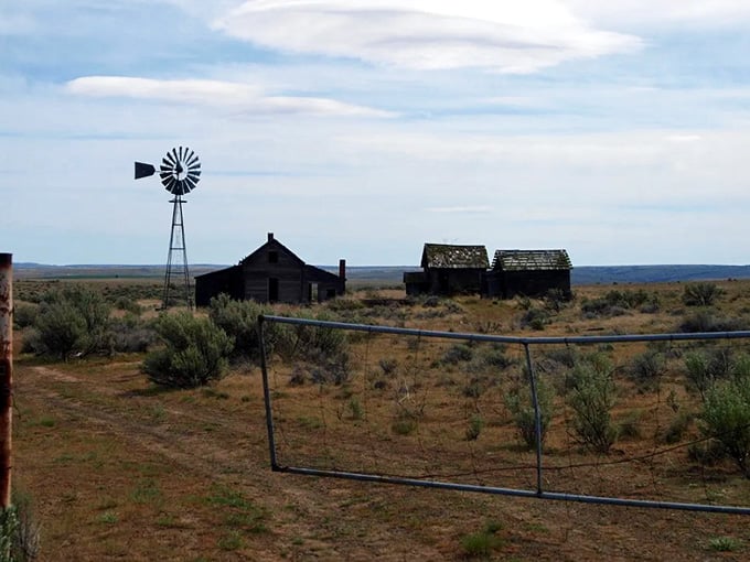 A windmill and a couple of buildings against the endless horizon, basically the entire town in one shot.