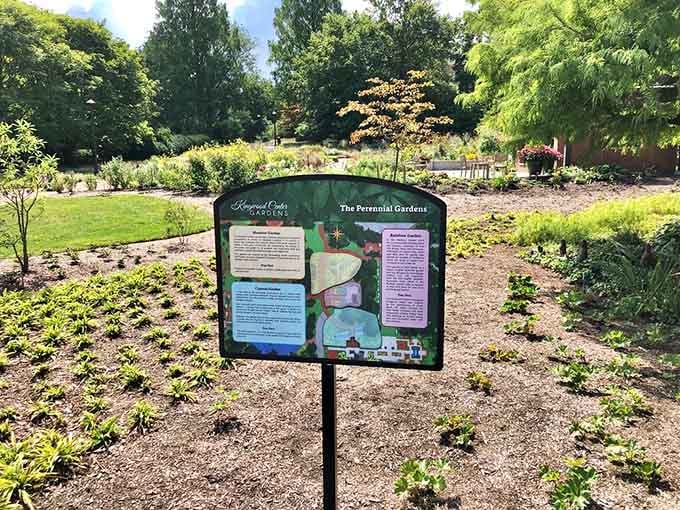 The perennial gardens change with seasons, offering new reasons to visit and new excuses to skip your cousin's barbecue.