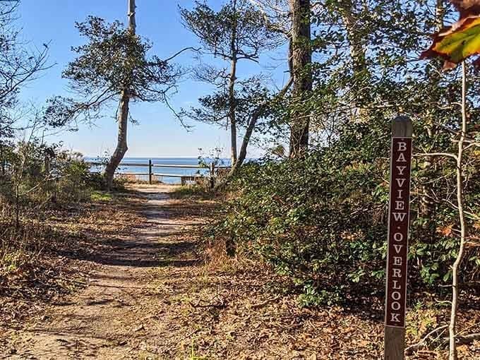 Trail markers guide you to overlooks where the Chesapeake Bay spreads out like your personal ocean.