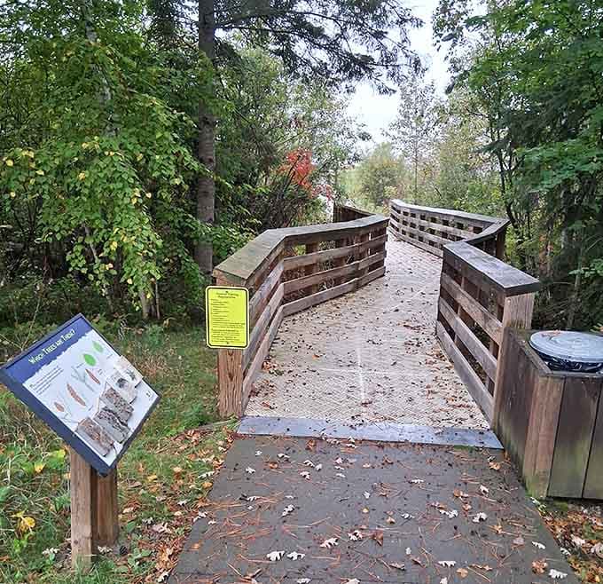 This boardwalk winds through wetlands where nature puts on daily shows featuring frogs, birds, and occasional dramatic weather.