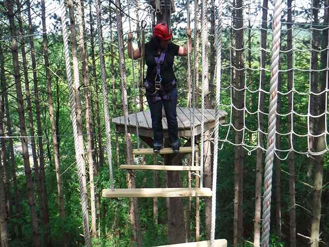 Balancing on narrow beams high above the forest floor, where focus matters more than fancy footwork.