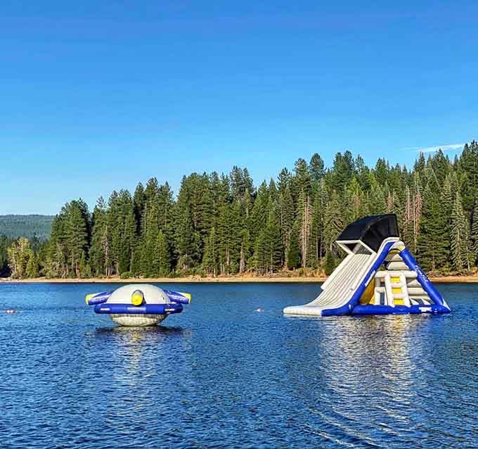 That water slide stands ready to test your courage and remind you that gravity still works perfectly well.