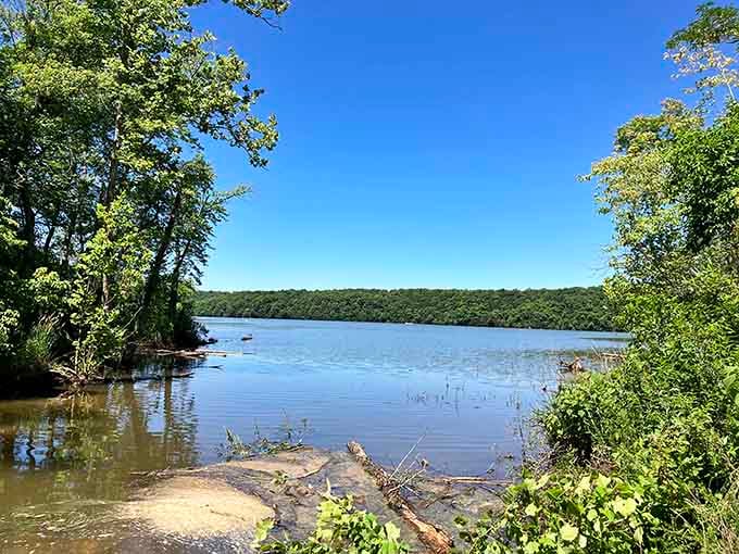 Views like this remind you why Missouri's natural beauty deserves way more credit than it gets.