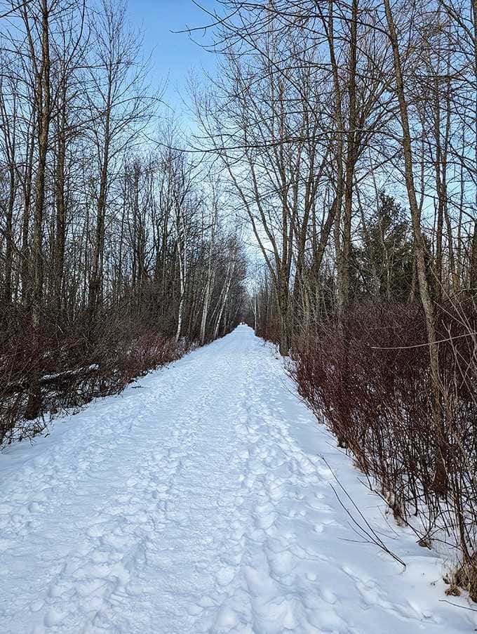 Snow-covered trails in winter create a hushed cathedral of white, where your footsteps write the only story that matters.