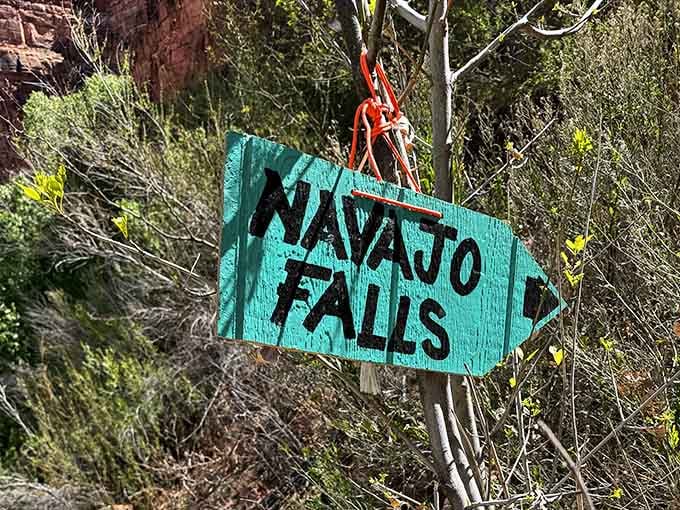 Even the trail signs here have that turquoise color scheme, because branding matters even in remote canyons.